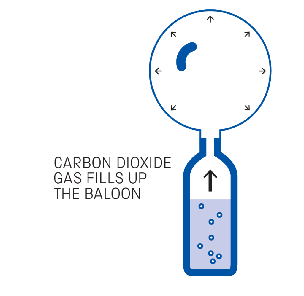 Blow-up balloon activity - Science Museum Group Learning